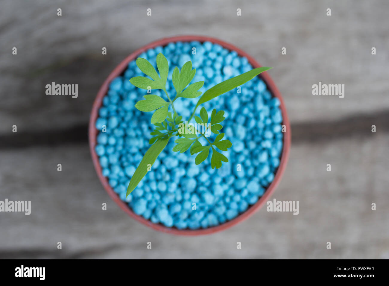 Nitrogen based fertilizers hi-res stock photography and images - Alamy