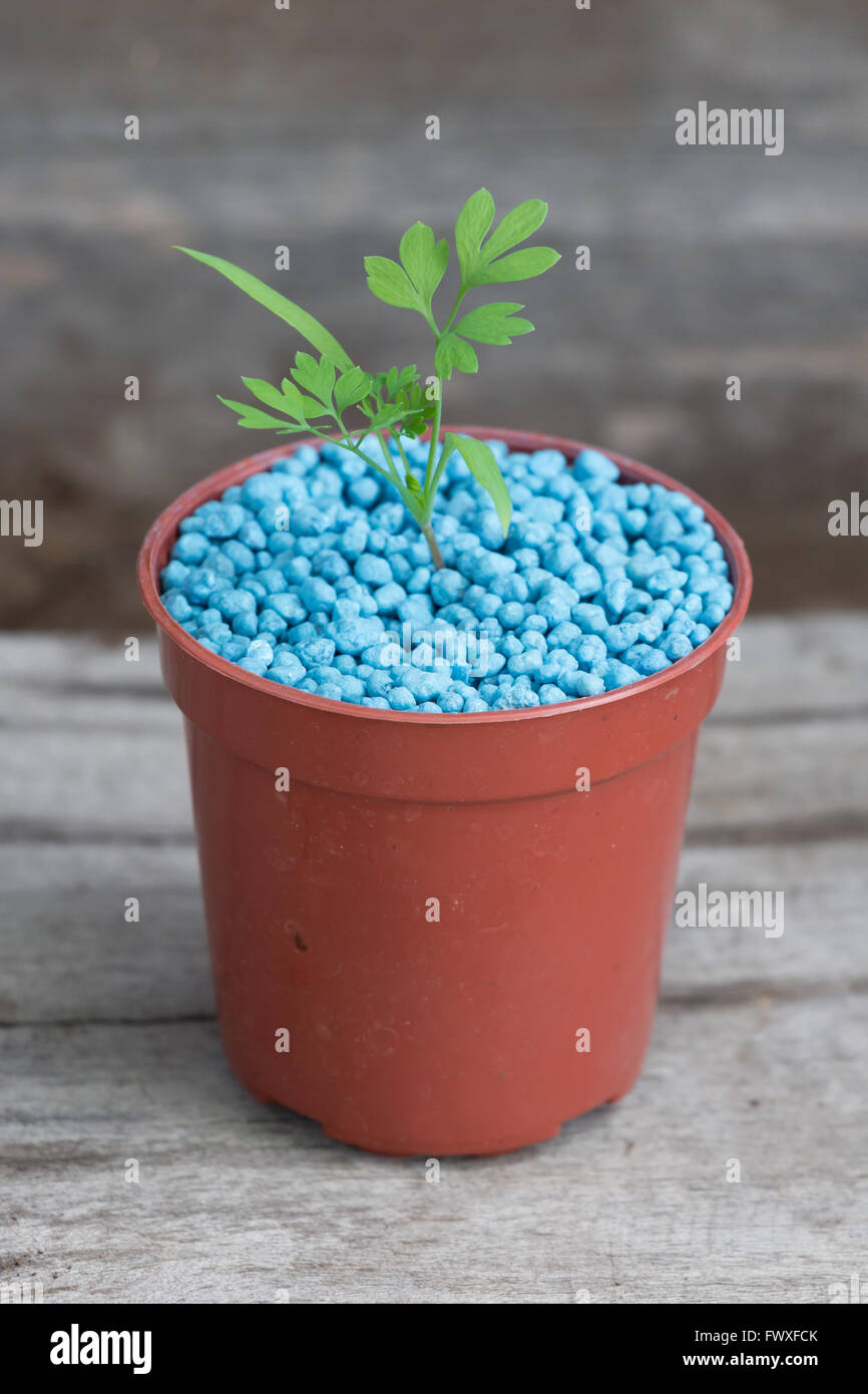 Nitrogen based fertilizers hi-res stock photography and images - Alamy