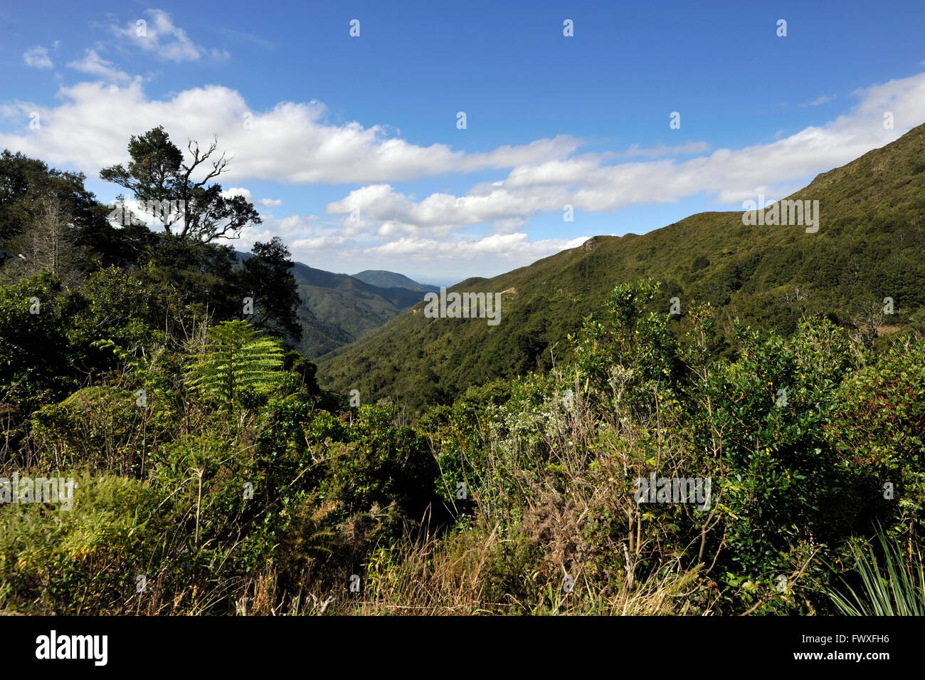 Rimutaka Mountains New Zealand Stock Photo - Alamy