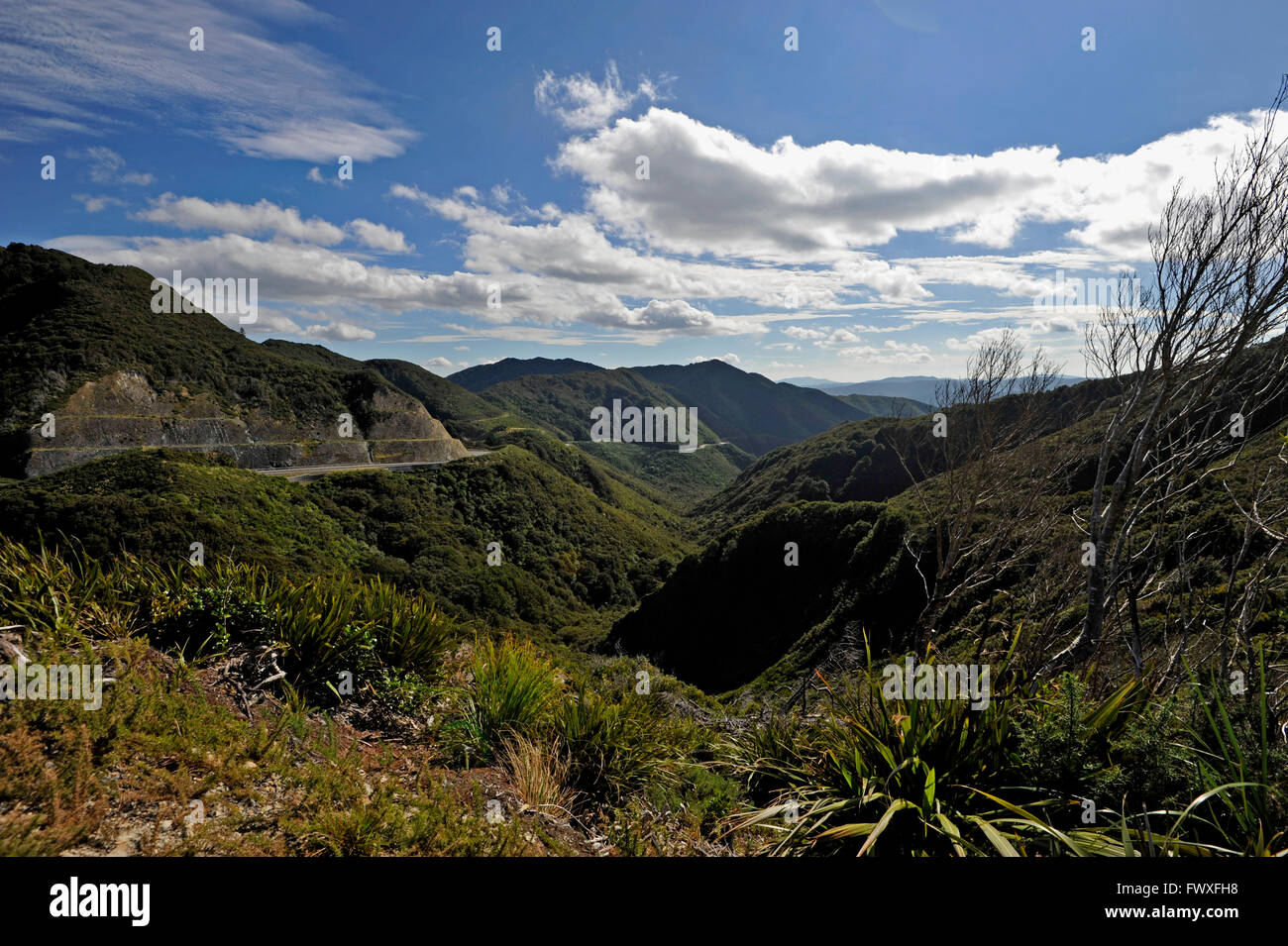 Rimutaka mountains hi-res stock photography and images - Alamy