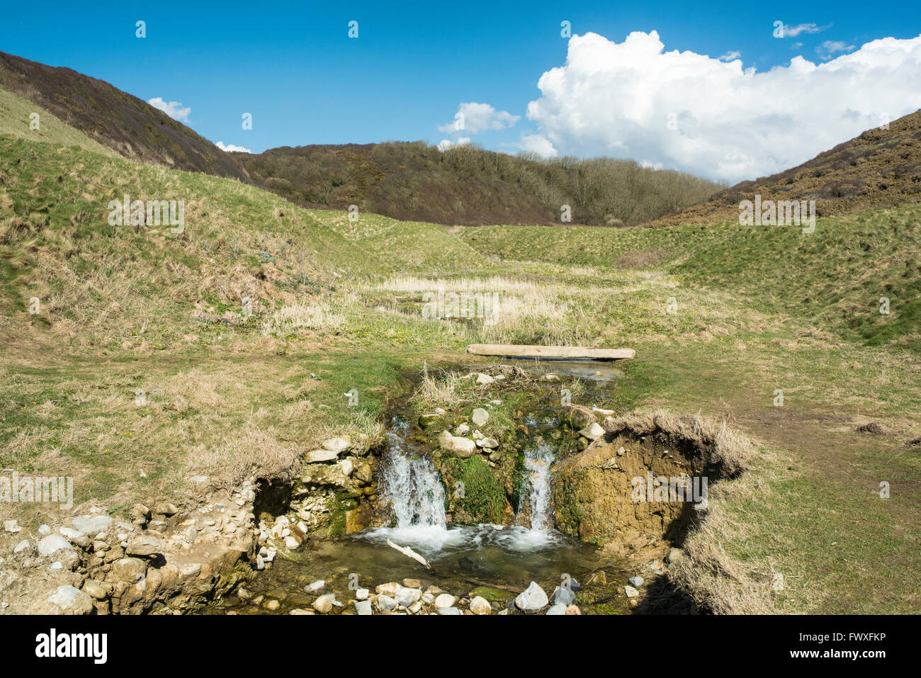 Valley with a brook running through it Stock Photo - Alamy
