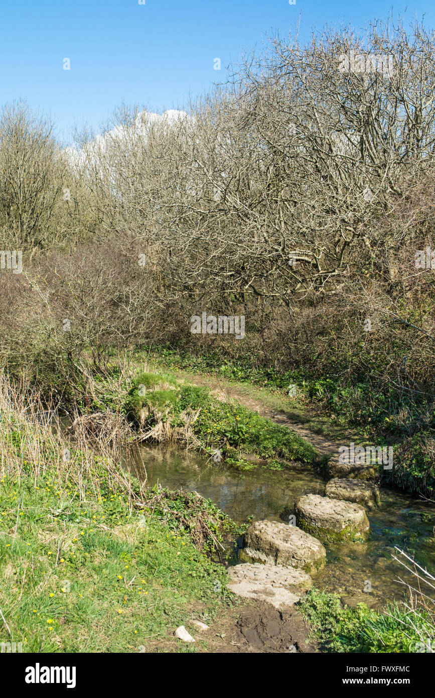 Stones crossing hi-res stock photography and images - Alamy