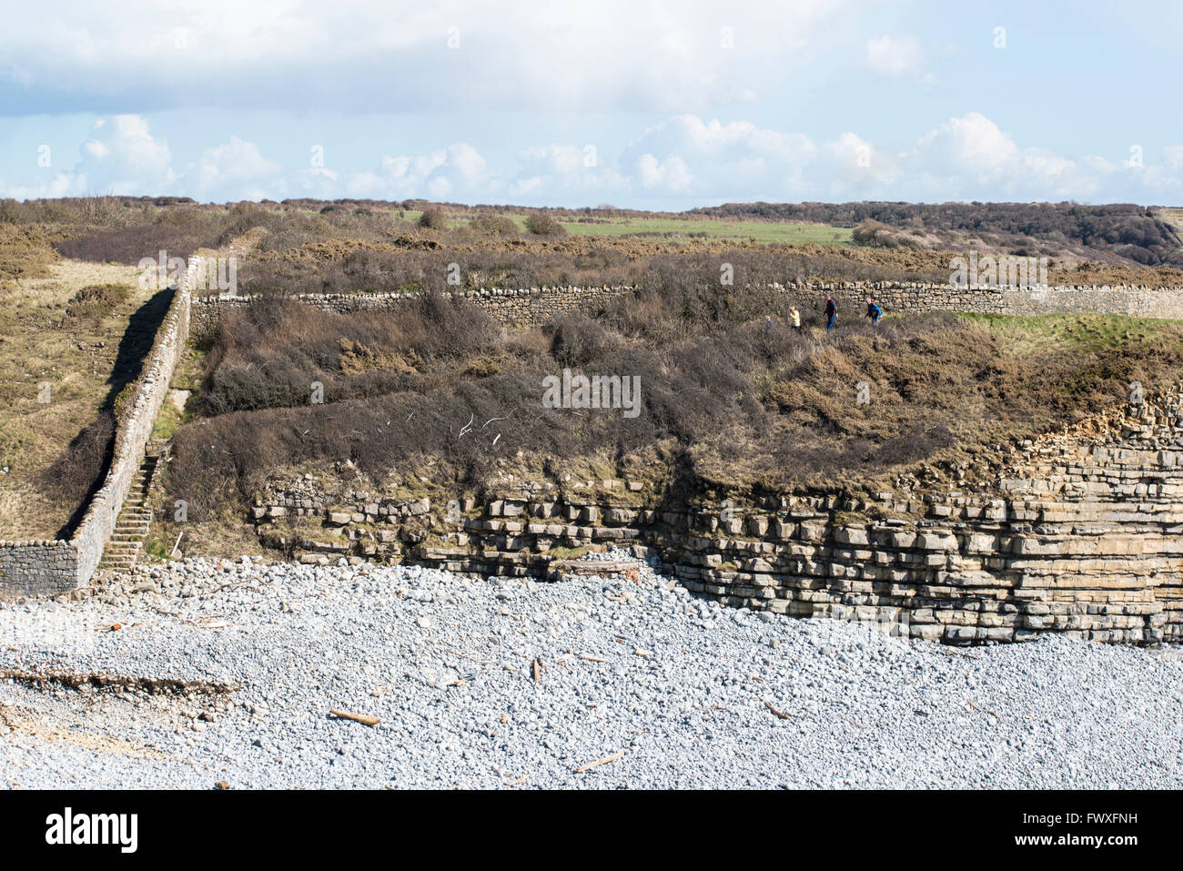 People walking along the cliff above Tresilian Bay Stock Photo - Alamy
