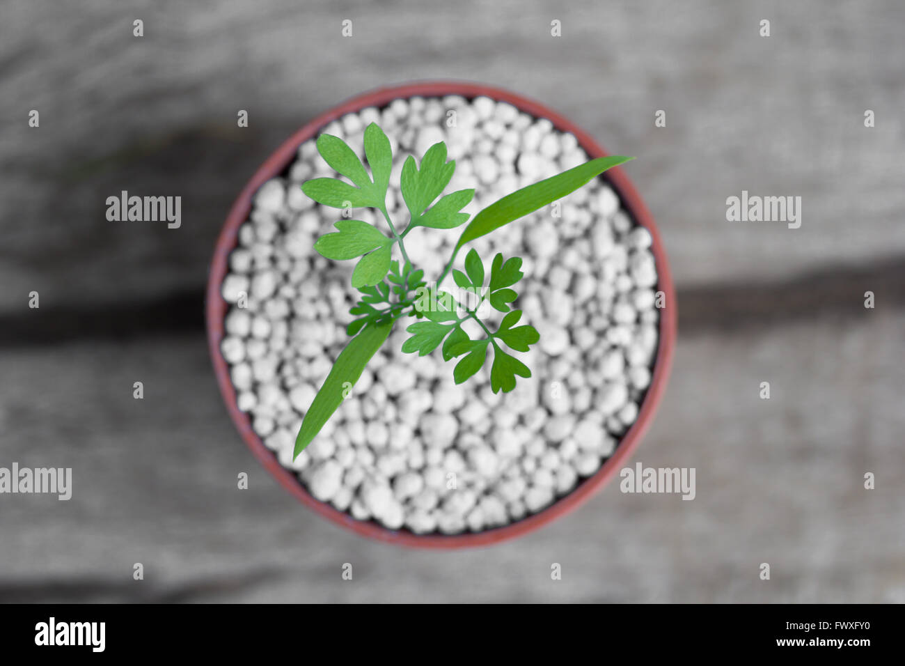 Nitrogen based fertilizers hi-res stock photography and images - Alamy