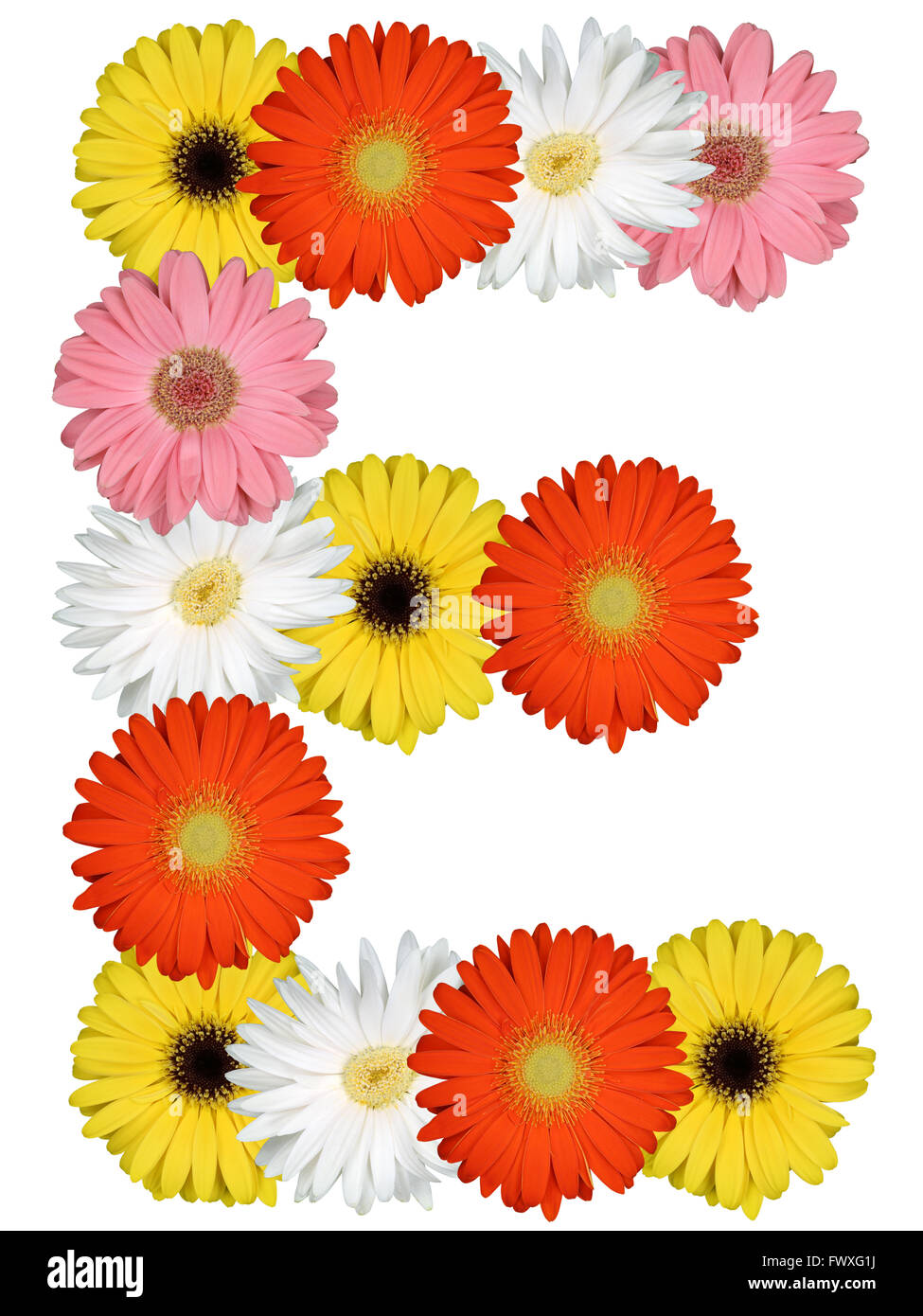 Letter E alphabet from flowers isolated on a white background Stock ...