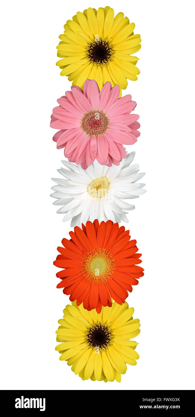 Letter I alphabet from flowers isolated on a white background Stock ...