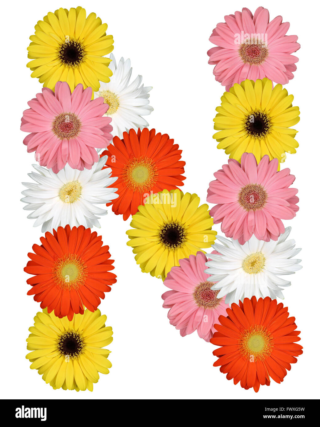 Letter n flowers hi-res stock photography and images - Alamy