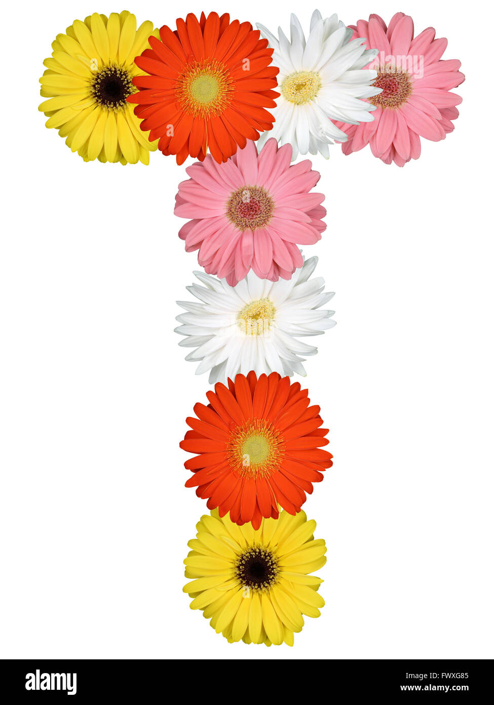 Letter T alphabet from flowers isolated on a white background Stock ...