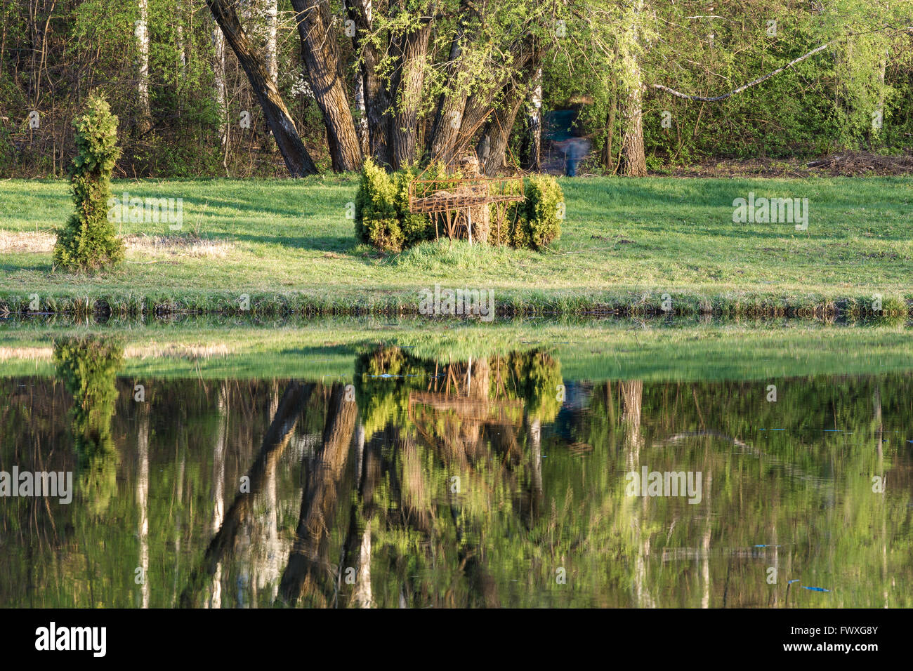 spring landscape with reflection in the lake of brich forest, botanic ...