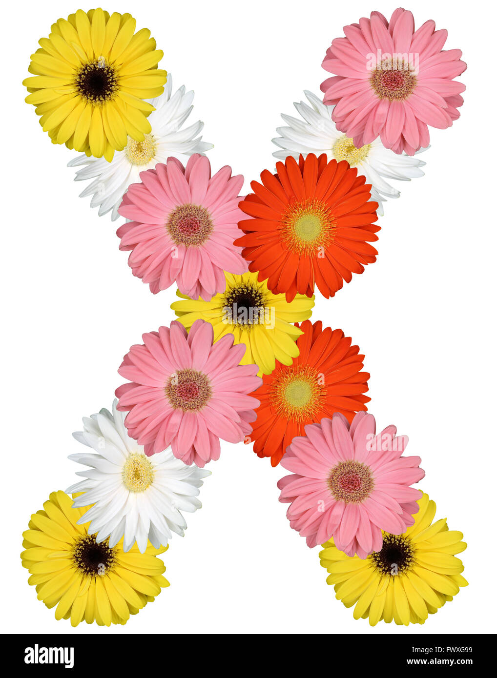 Letter X alphabet from flowers isolated on a white background Stock ...