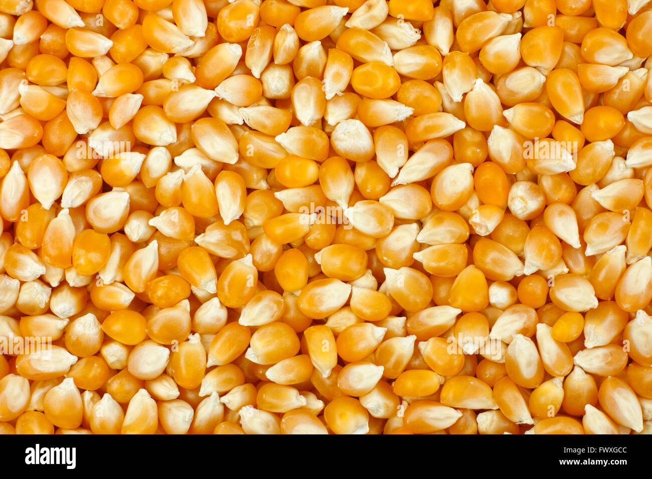 Yellow popcorn kernels. Close up Stock Photo - Alamy