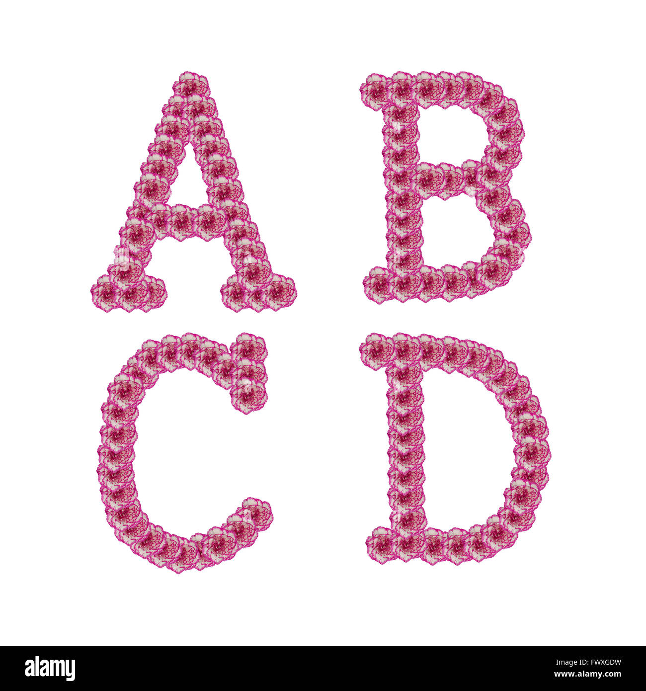 carnation flower letter Stock Photo - Alamy