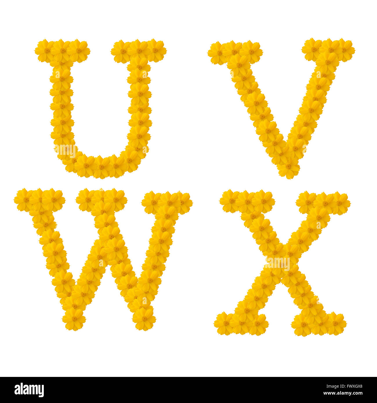Letter v w Cut Out Stock Images & Pictures - Alamy