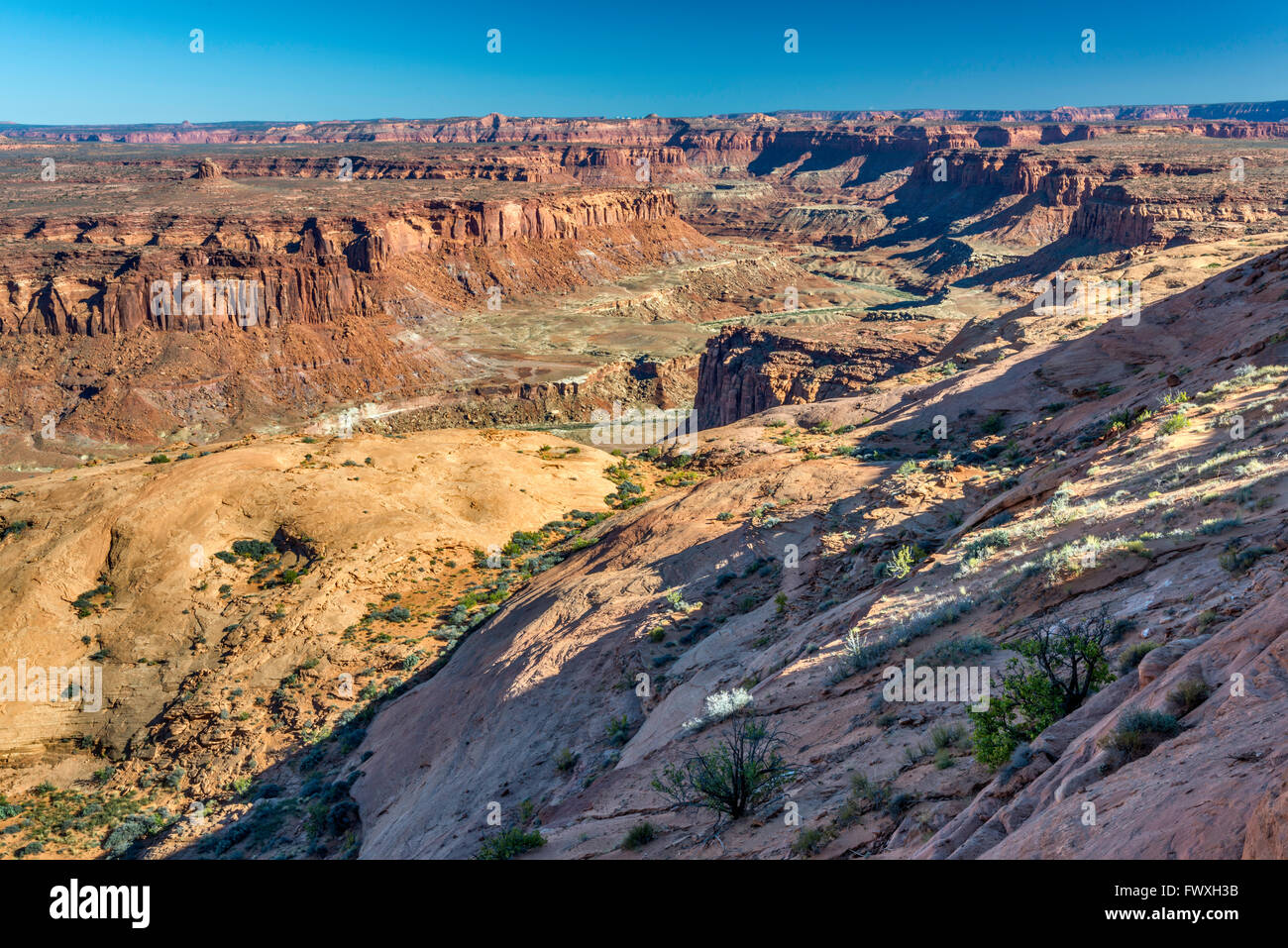 Dirty Devil River canyon, from Burr Point, Burr Desert, off Trail of ...