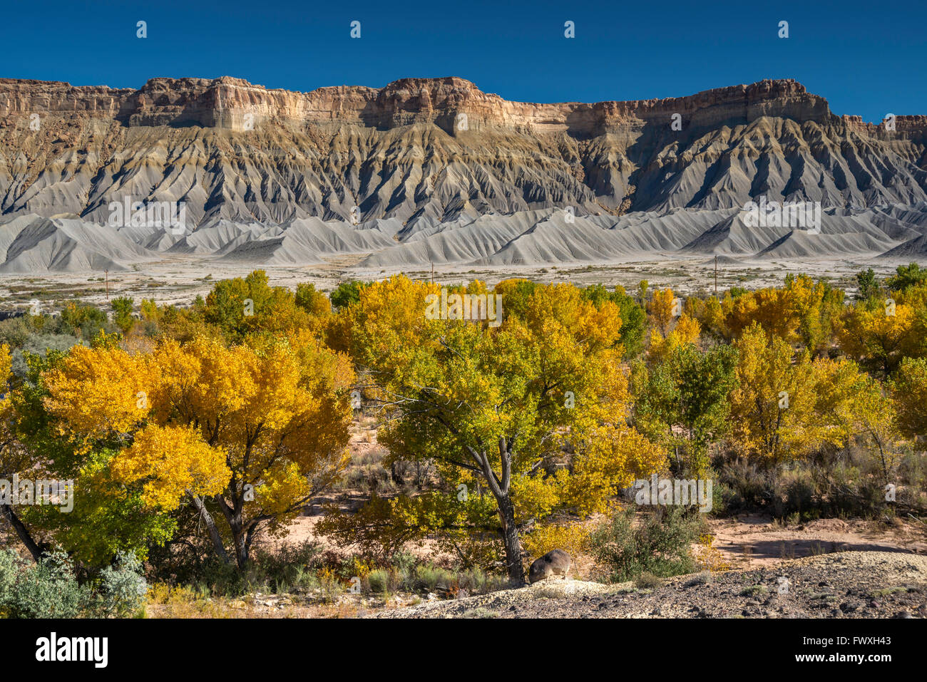 Caineville mesa usa utah hi-res stock photography and images - Alamy