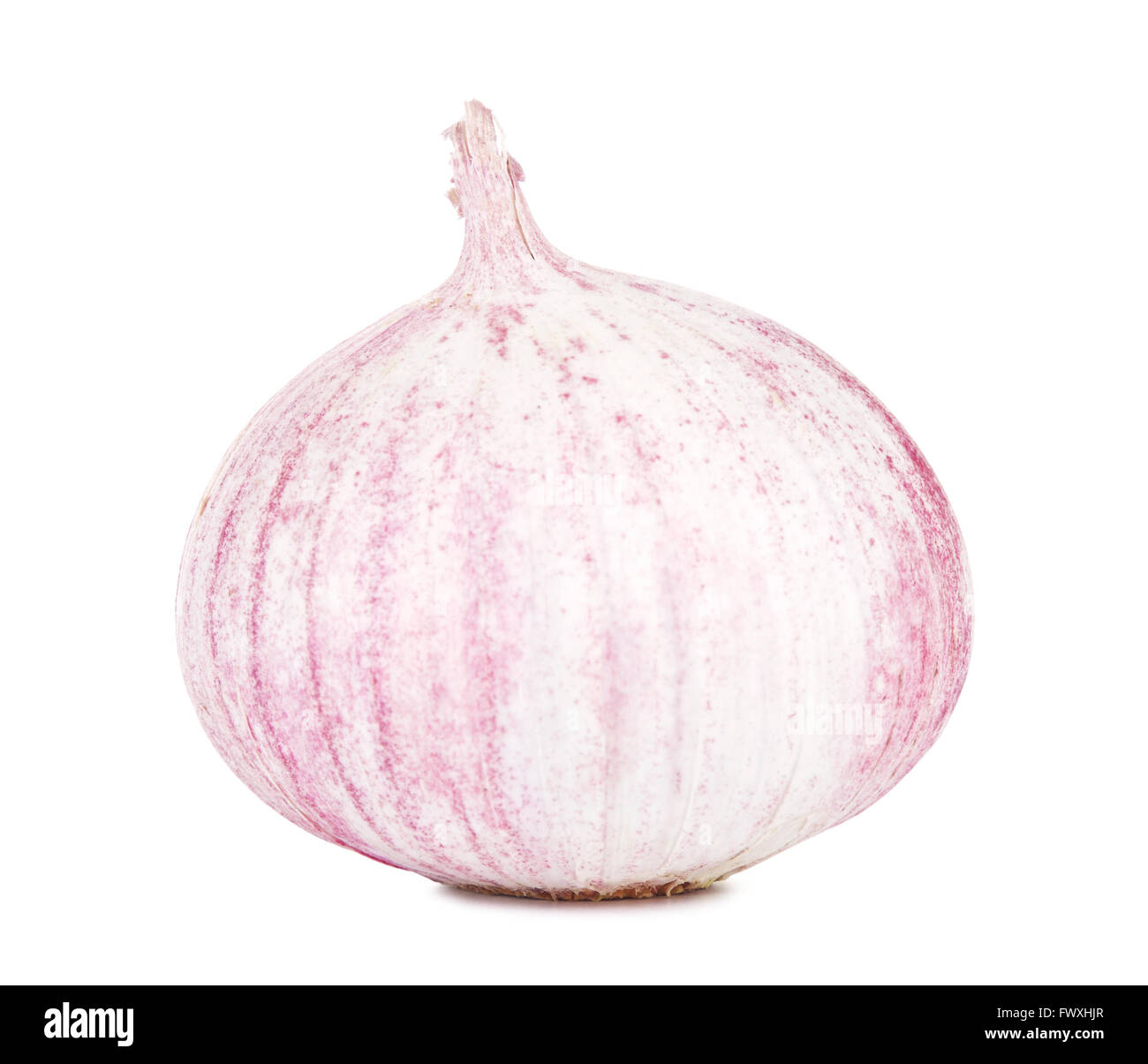chinese solo garlic, isolated on white background Stock Photo - Alamy
