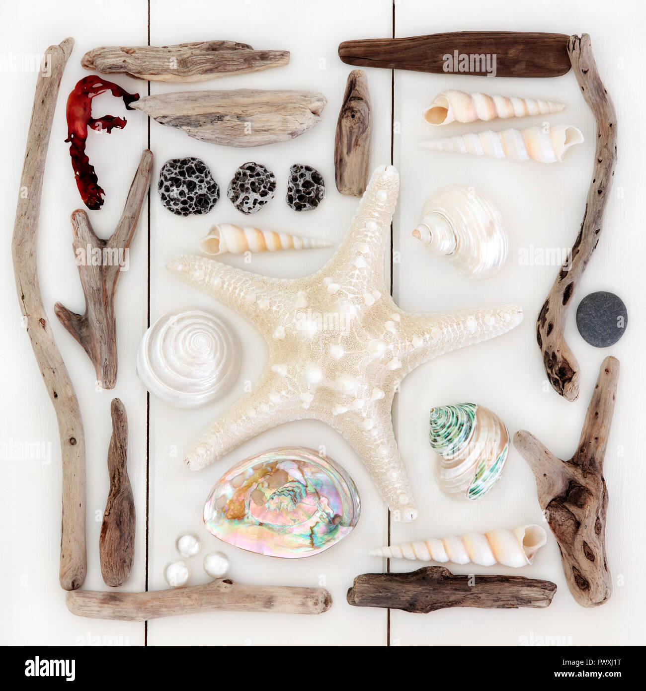 Starfish and sea shell selection, driftwood, pearls and seaweed over ...
