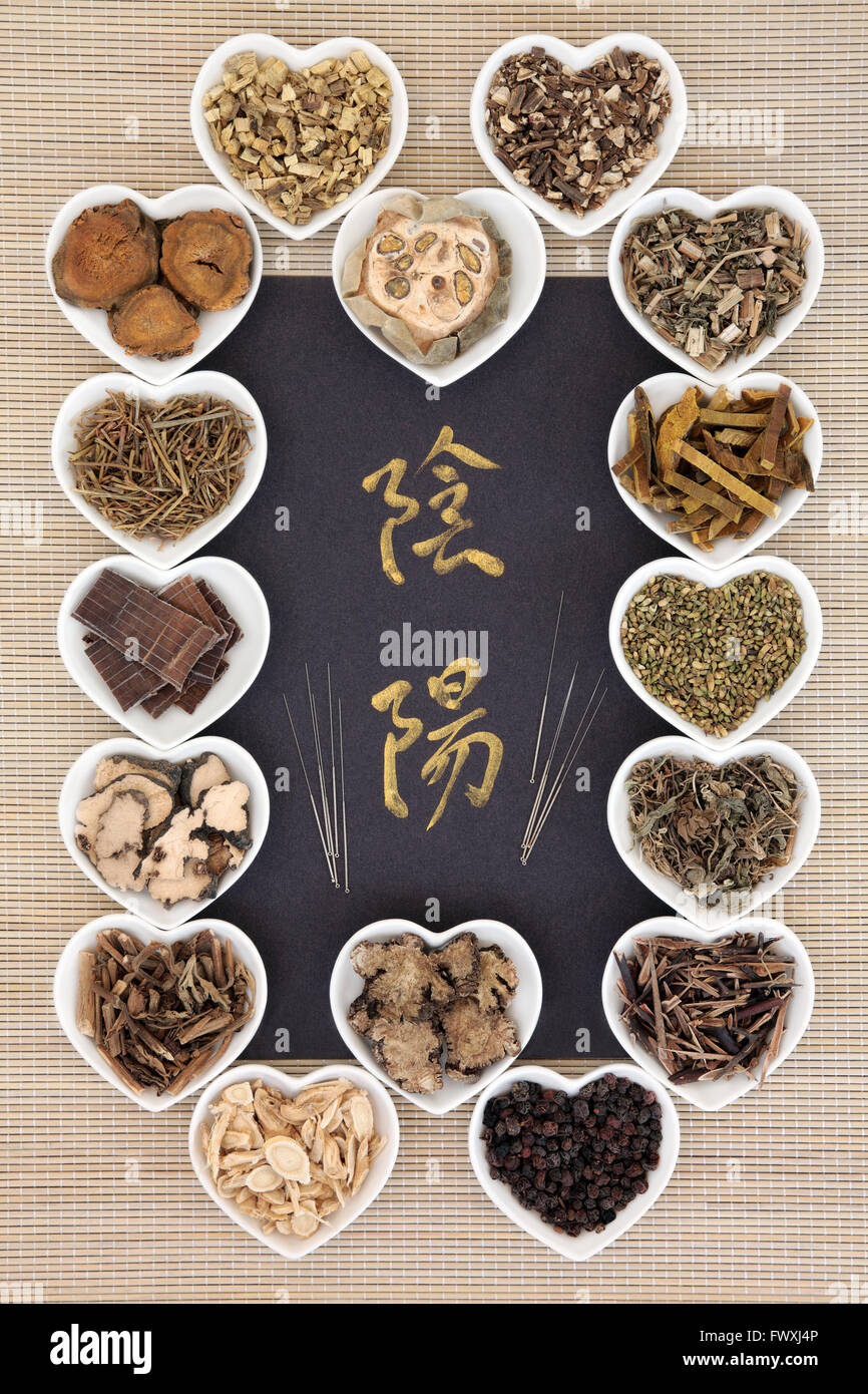 Chinese herbal medicine selection with acupuncture needles and ...