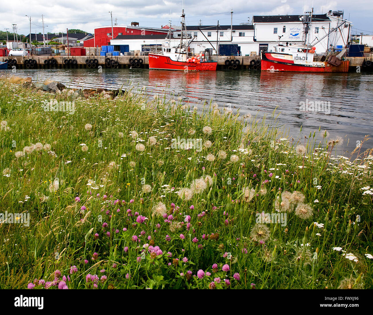 Glace bay hi-res stock photography and images - Alamy
