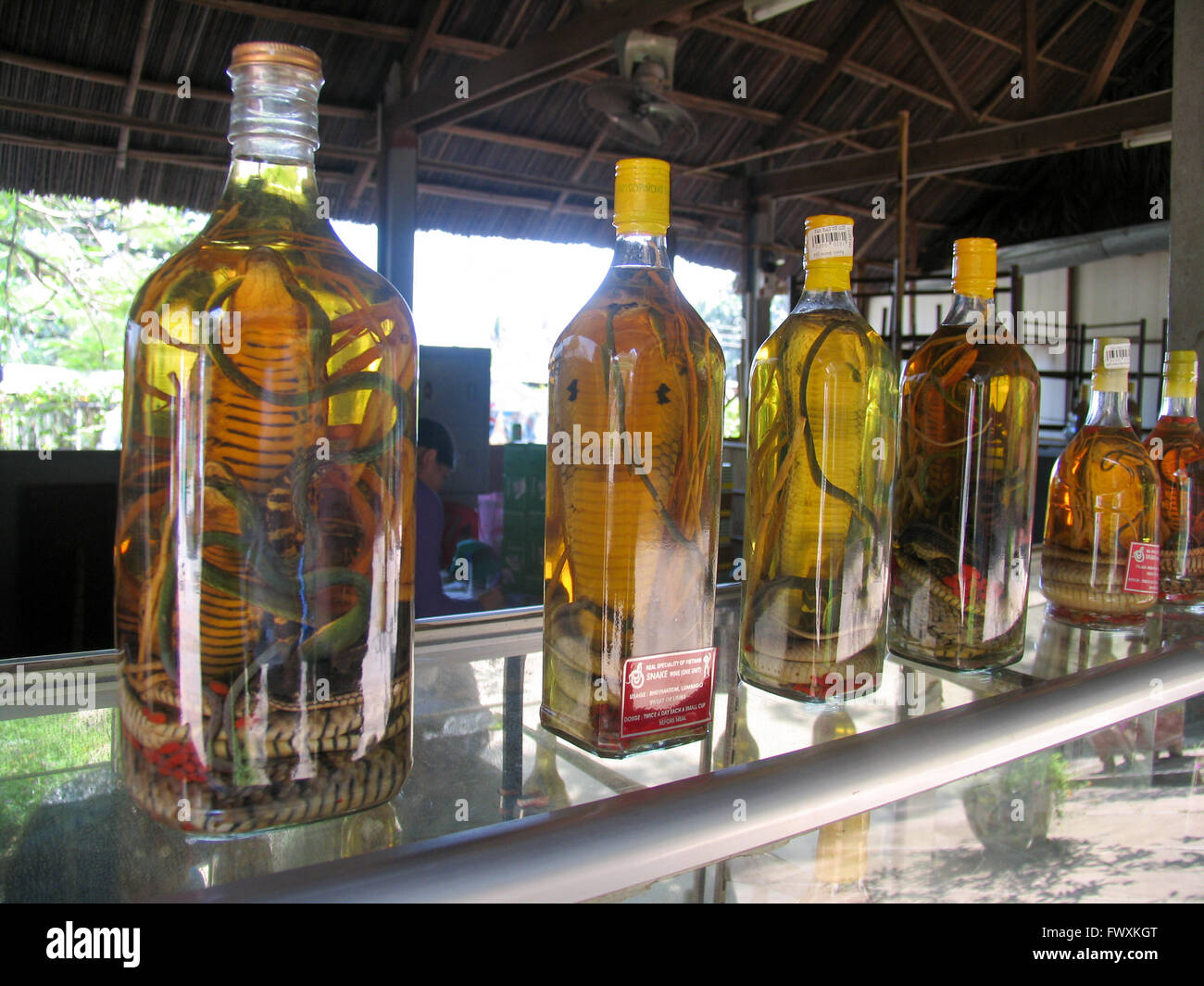 Bottles of snake wine, alcoholic beverages with snakes in the bottles ...