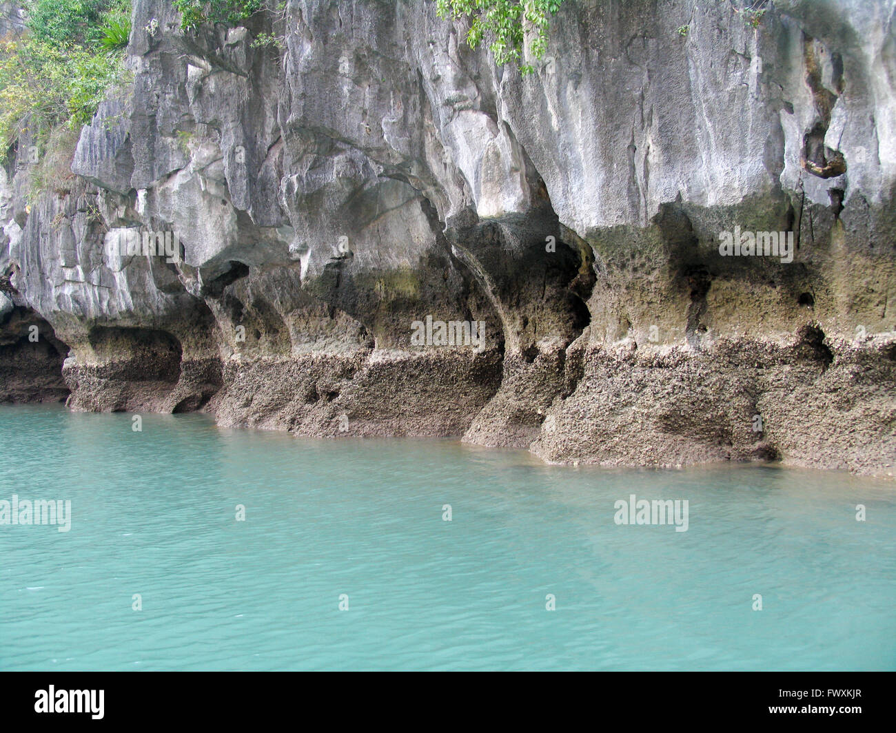 Marine notch cave along a limestone island in Halong Bay, Vietnam Stock ...