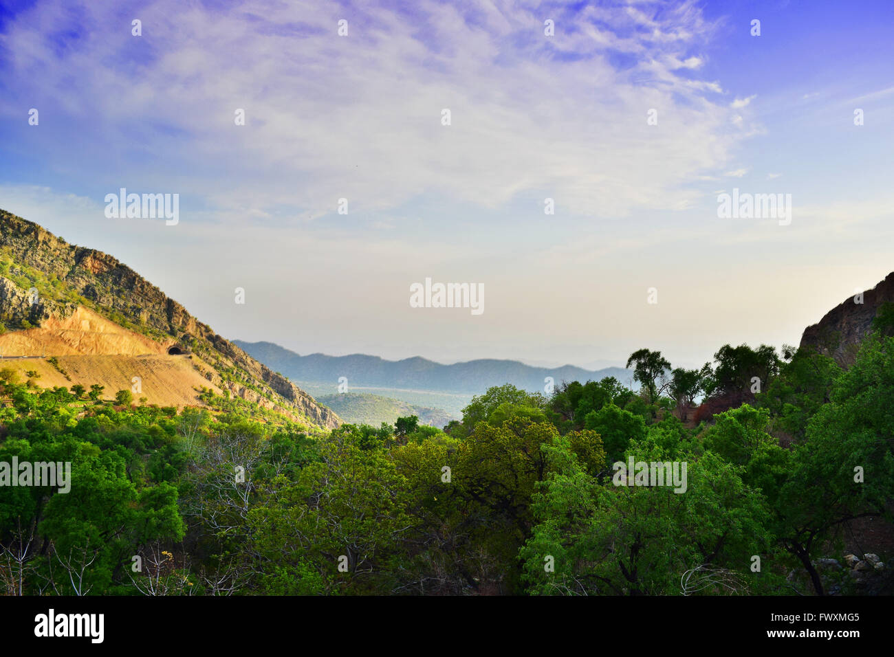 Beautiful jungle hi-res stock photography and images - Alamy