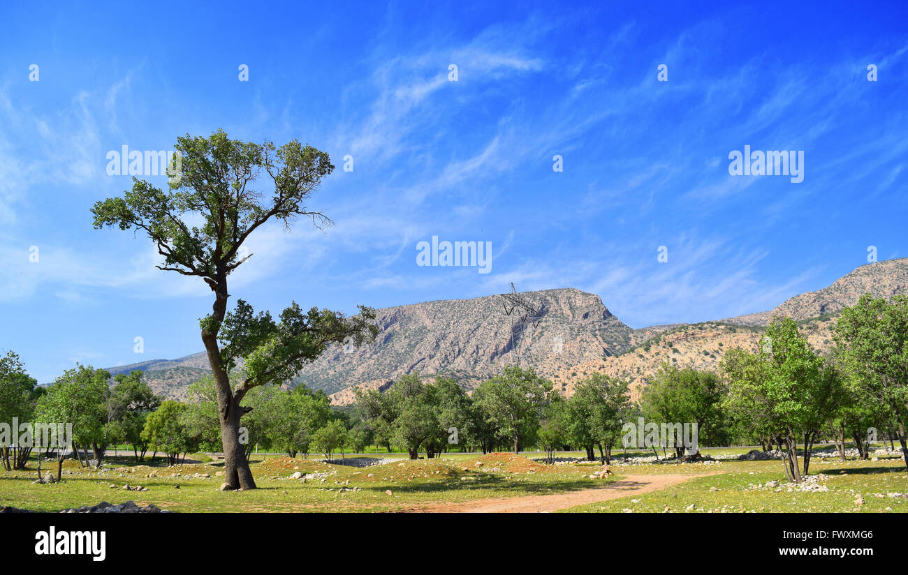 Jungle landscape hi-res stock photography and images - Alamy