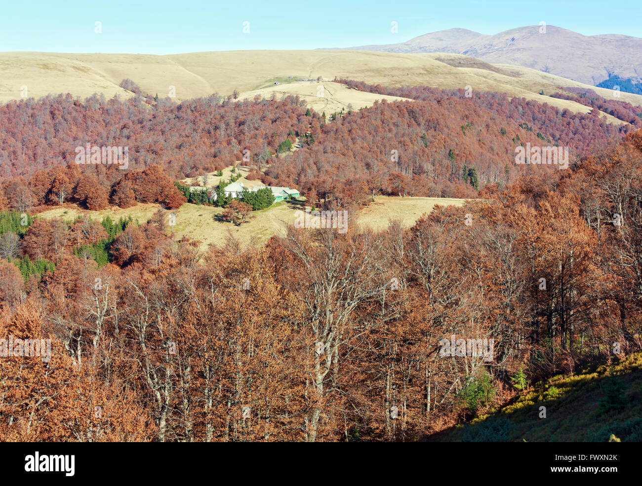 Trees with dry foliage and rural house on slope in autumn Carpathian ...