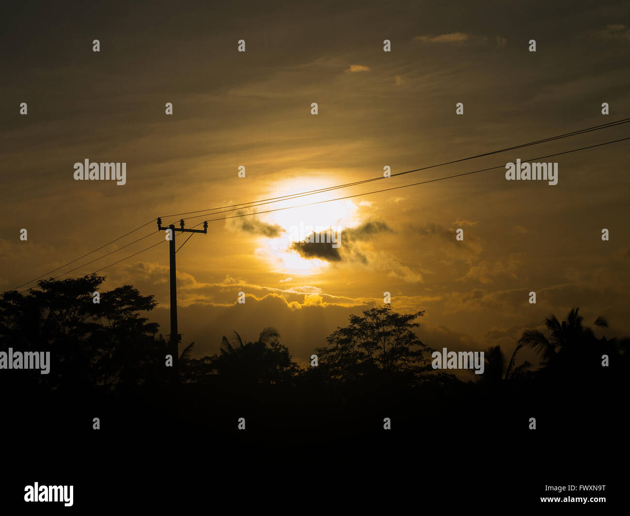 Sunrise in Ubud Bali Stock Photo - Alamy