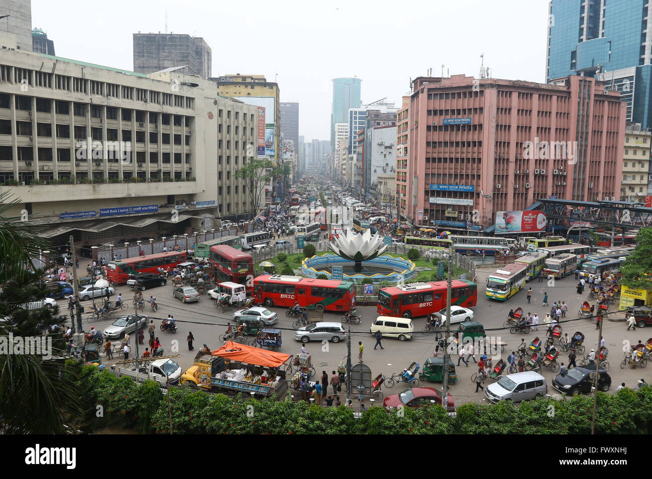 Shapla hi-res stock photography and images - Alamy