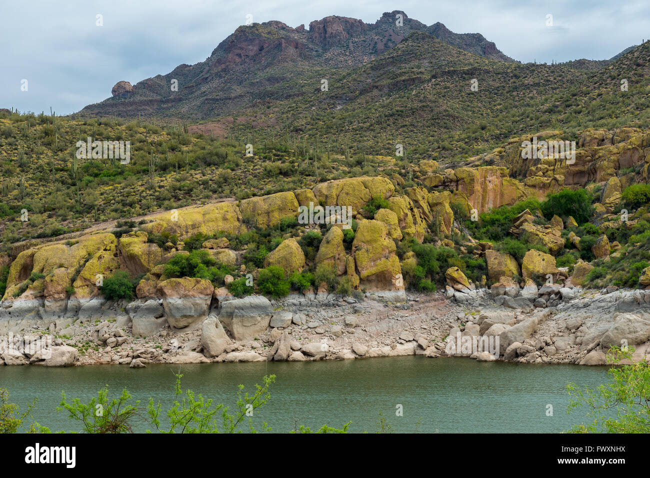 Hidden Treasures in the Arizona Desert Stock Photo - Alamy