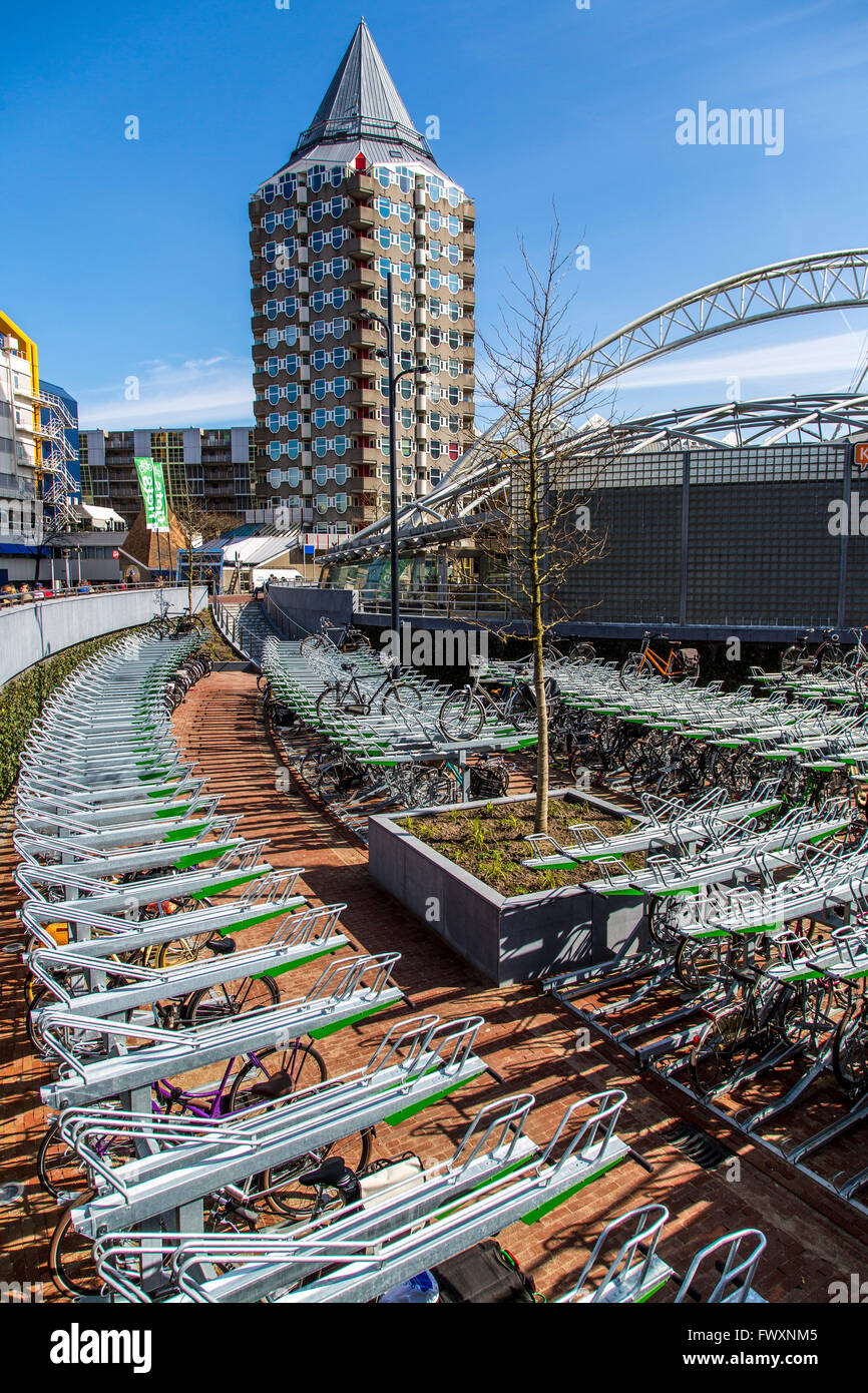 Public bike storage, parking lot, bike park, in the city center of ...