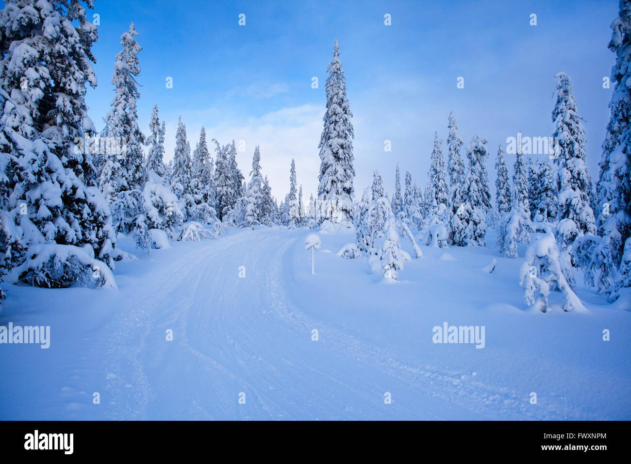Sweden dalarna road hi-res stock photography and images - Alamy