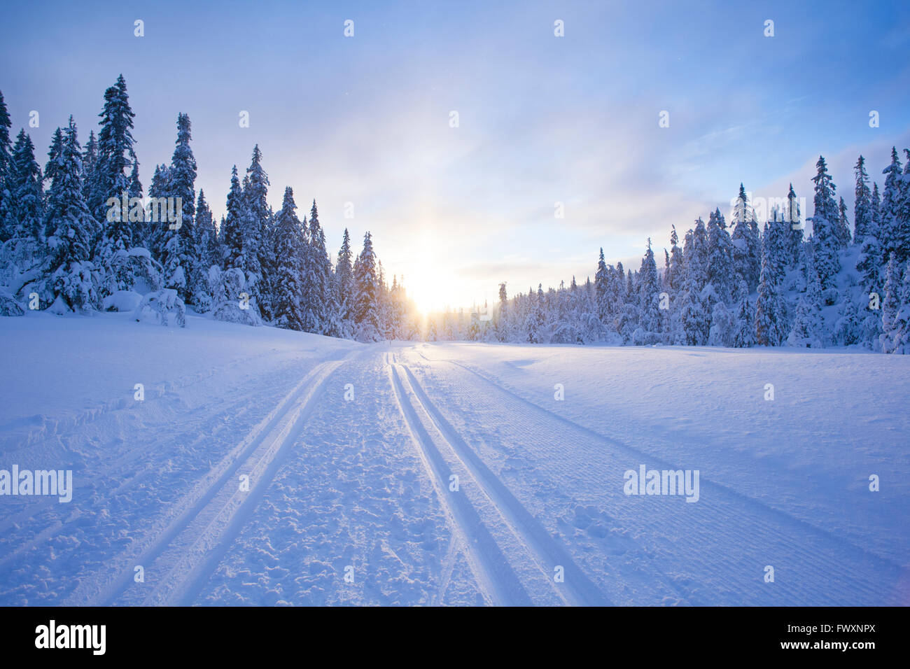 Sweden dalarna road hi-res stock photography and images - Alamy