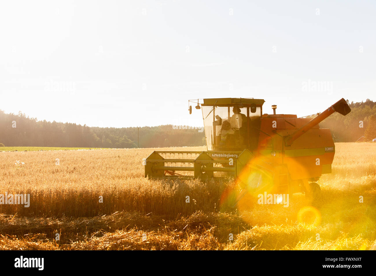 Sweden, Bohuslan, Gothenburg, Olofstorp, Combine harvesting crop Stock ...