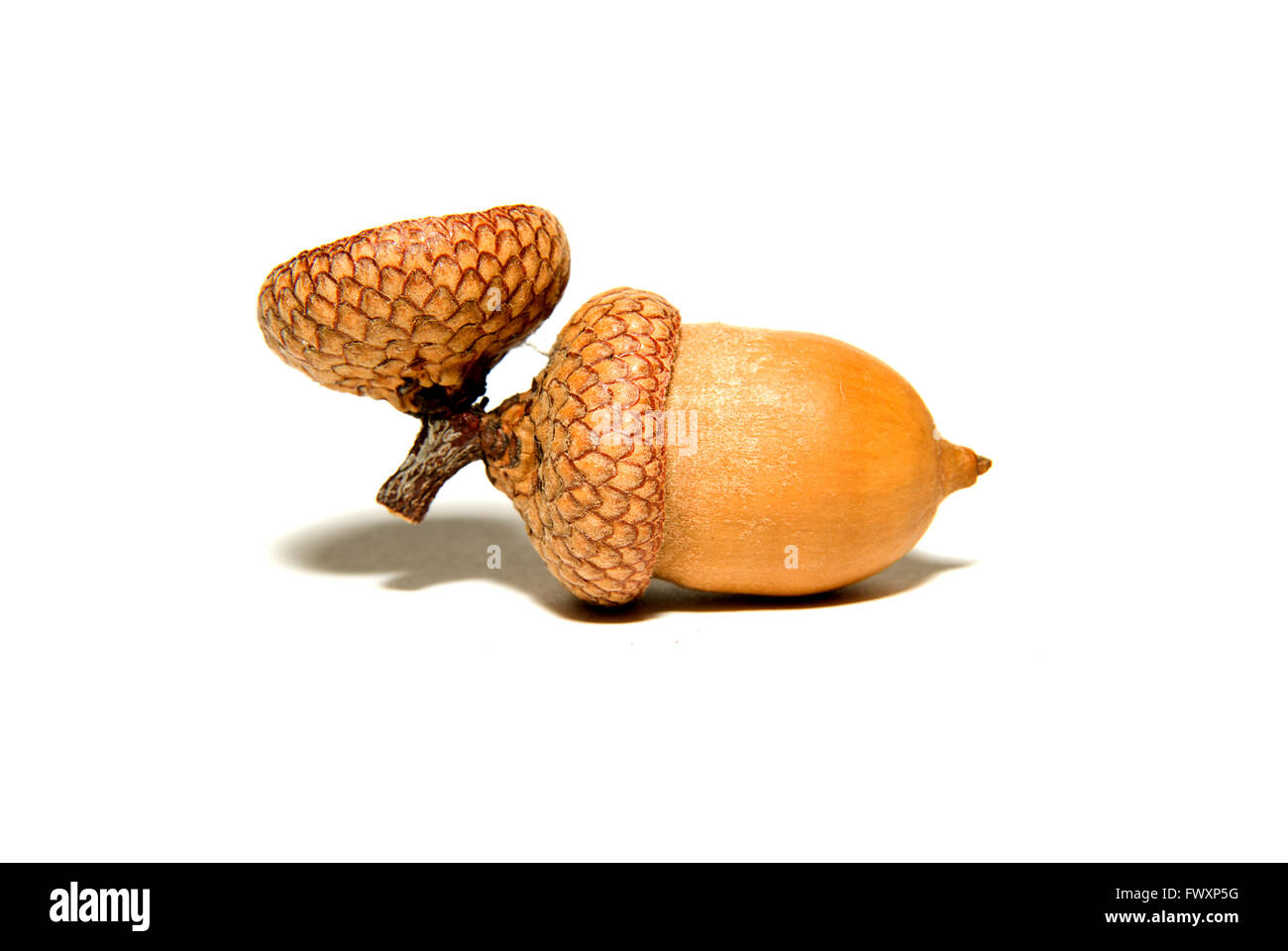 Brown cap caps hi-res stock photography and images - Alamy