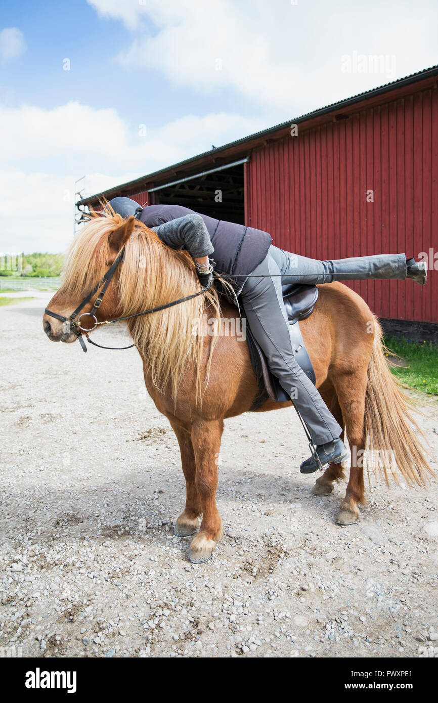 Mounting horse hi-res stock photography and images - Alamy