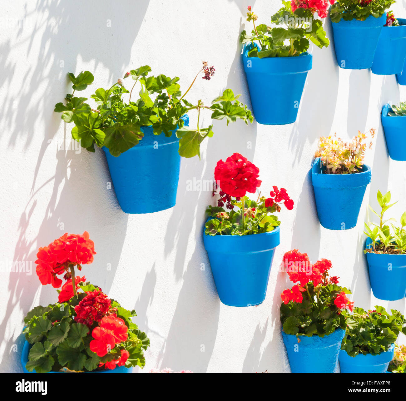 Geraniums in blue pots in Andalusia, Spain Stock Photo - Alamy