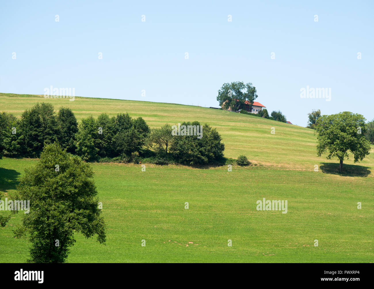Green fields with trees Stock Photo - Alamy