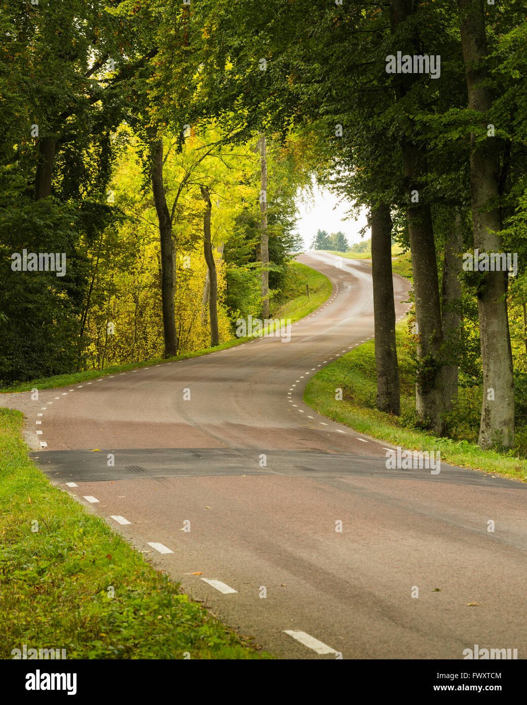 The way forward road marking hi-res stock photography and images - Alamy