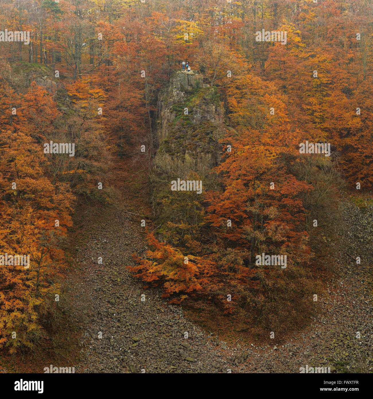 Soderasens national park hi-res stock photography and images - Alamy