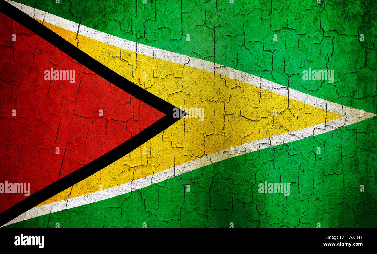 Guyana flag hi-res stock photography and images - Alamy