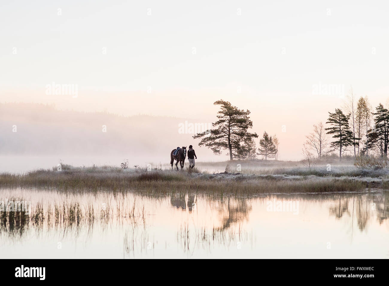 Sweden Vastmanland Bergslagen Hallefors Grythyttan Bovik Young