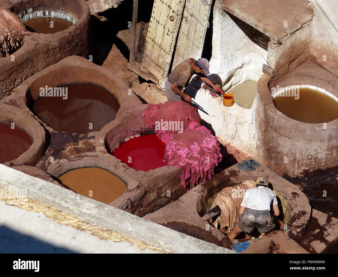 Morocco, Fes, Leather industry a leather tannery Stock Photo - Alamy