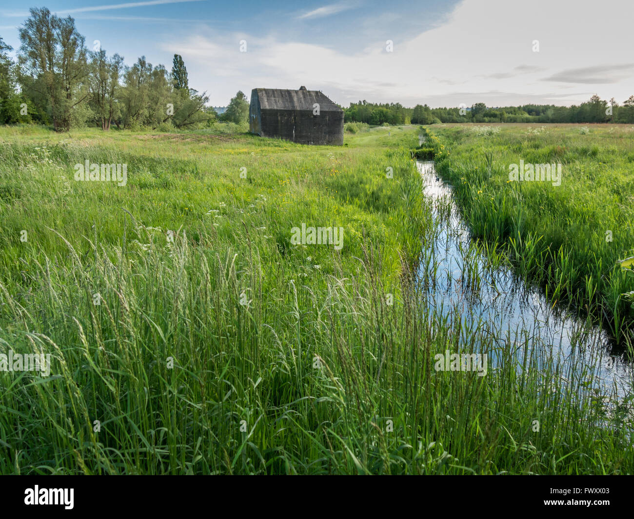 Bunker group shelter of World War II in the fields in Groenekan near ...