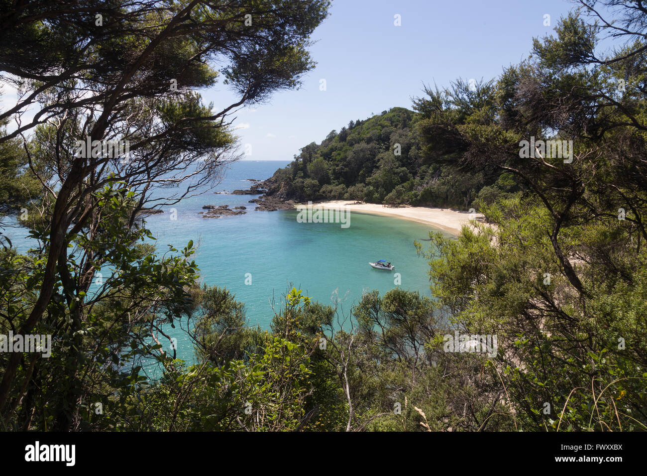 Whale Bay, New Zealand - February 16, 2015: Whale Bay at the Tutukaka ...