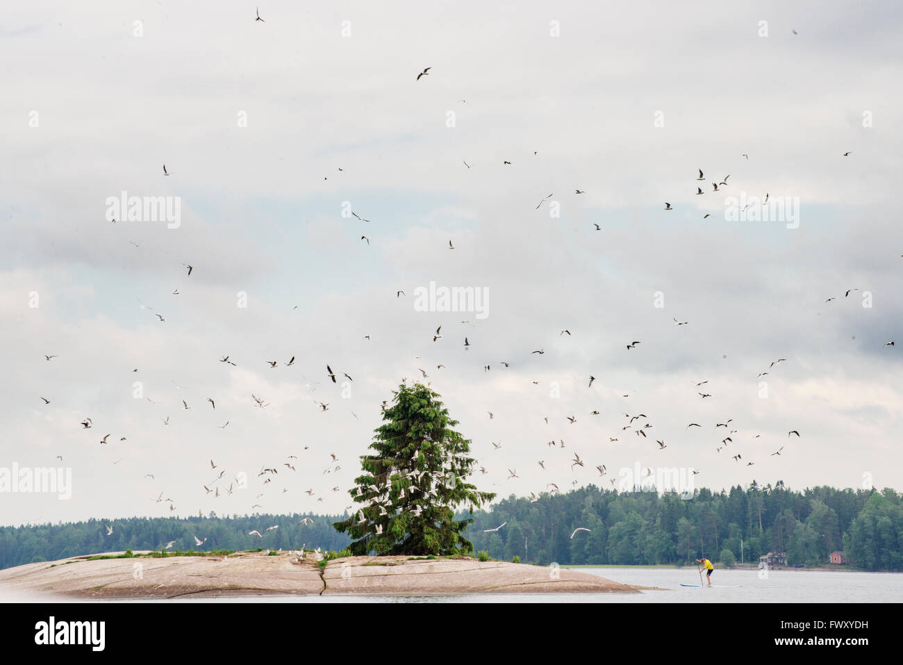 Flying island hi-res stock photography and images - Alamy