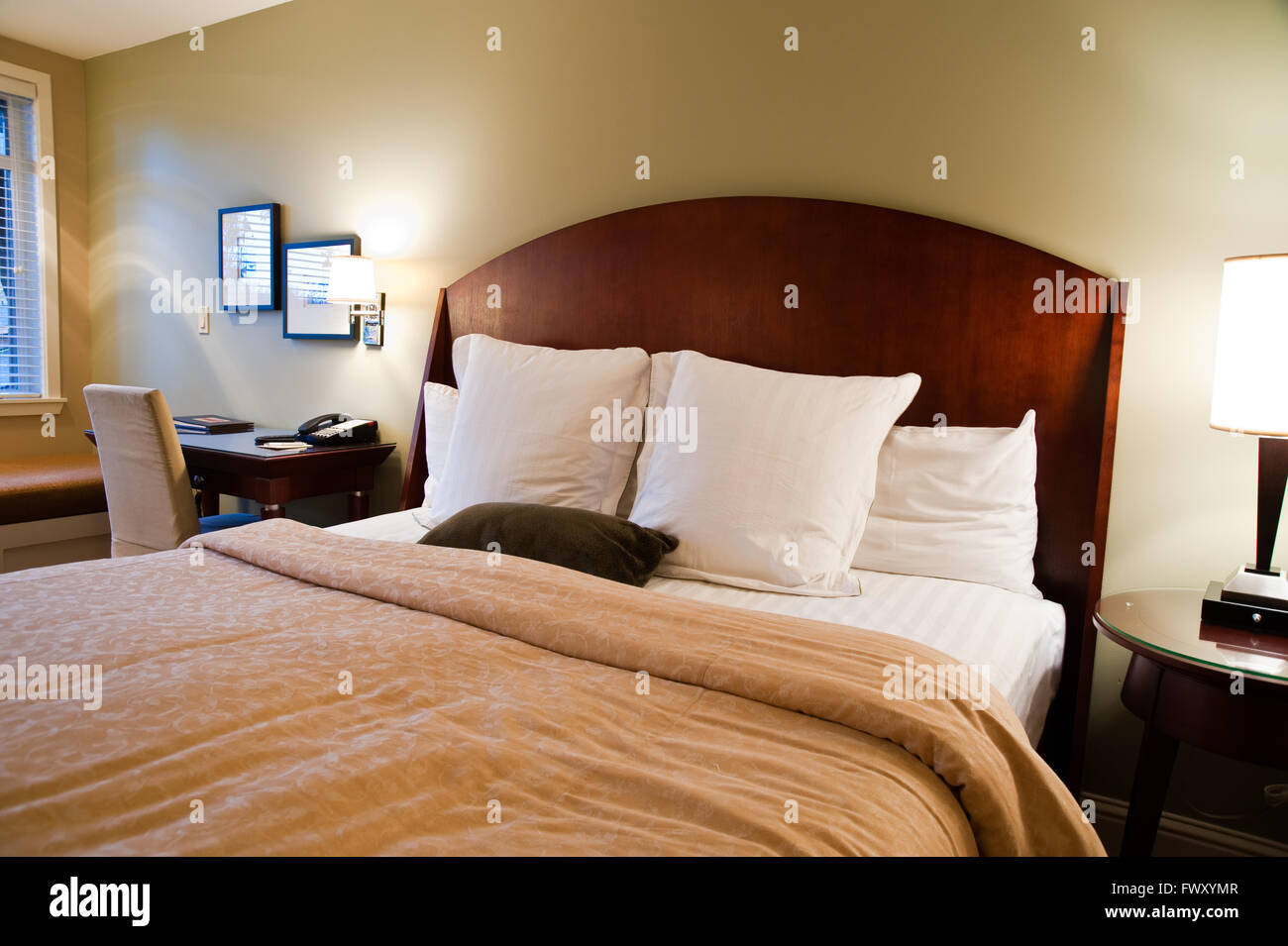Interior of a hotel room Stock Photo - Alamy