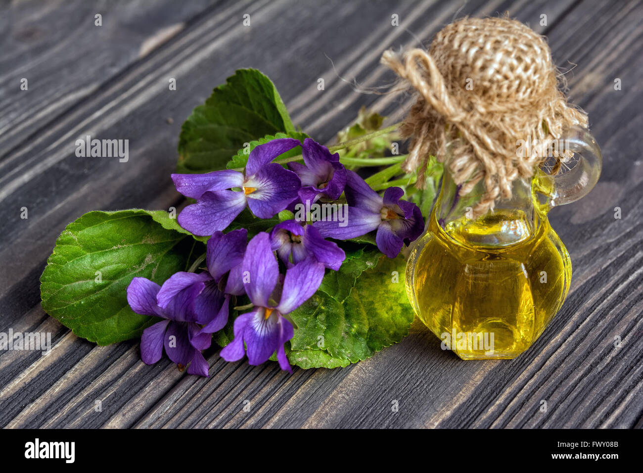 Perfume violets hi-res stock photography and images - Alamy