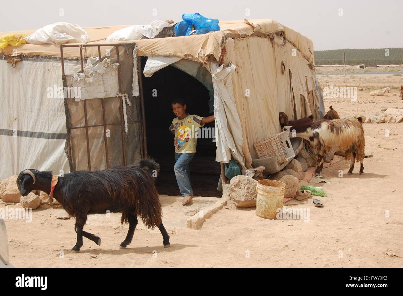 Traditional syrian life hi-res stock photography and images - Alamy